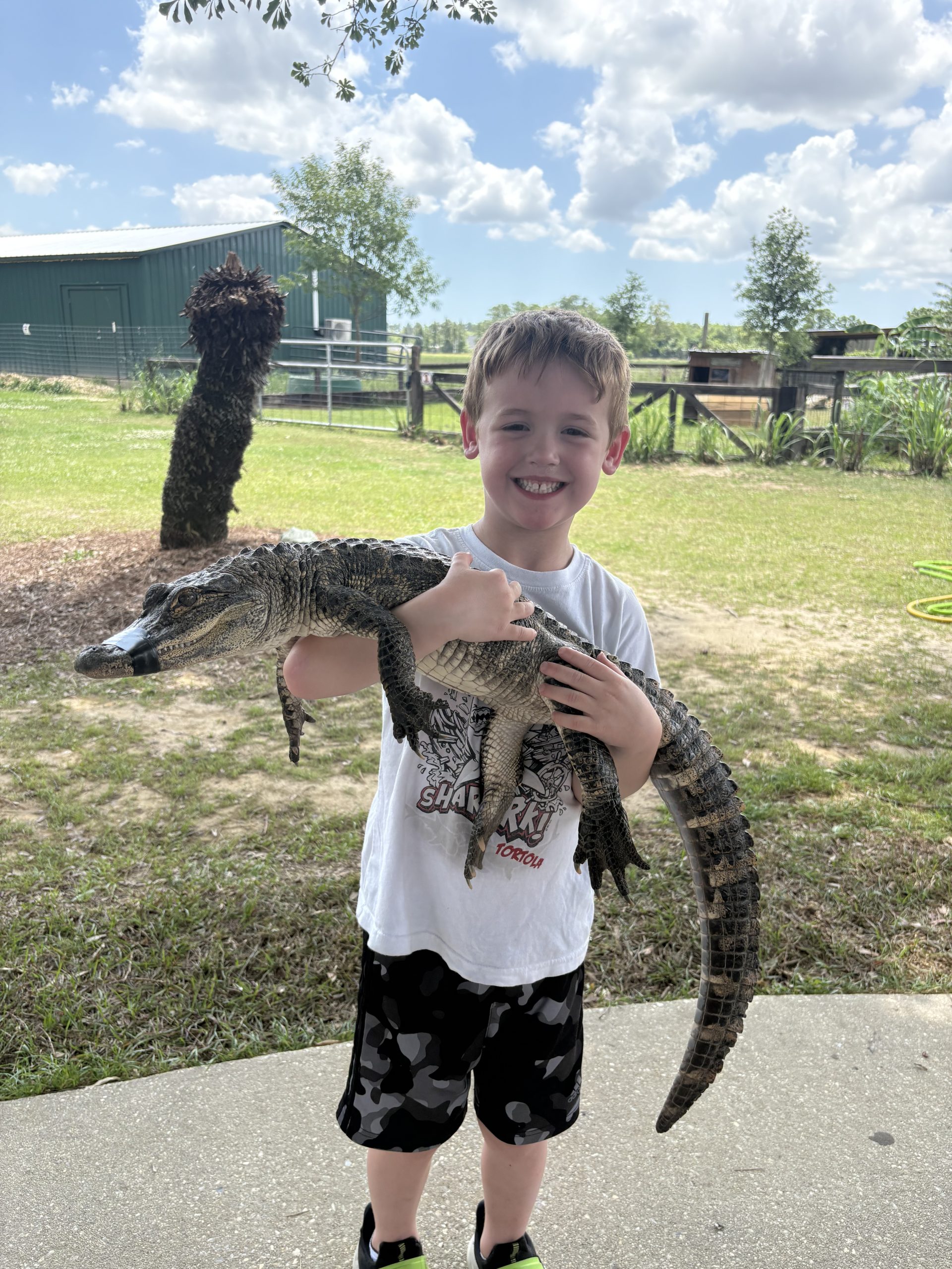 Alligator Alley Review: A Must-Do Gator Farm Day Trip Near Gulf Shores ...